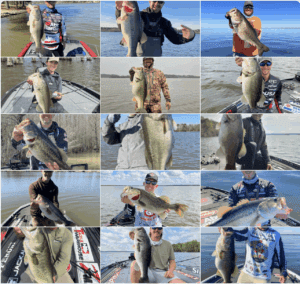 GALLERY: 2025 Heavy Hitters roster rundown | The Bass Cast